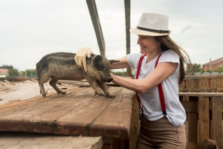 Chancho: Exploring the Significance of the Term and Its Cultural Relevance